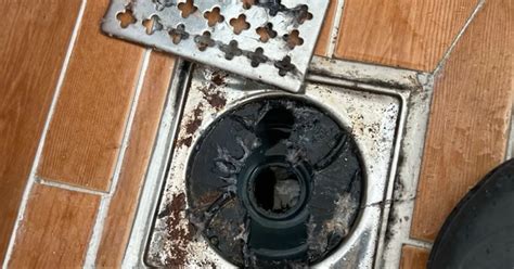 친절하시고 깨끗하게 청소해 주셨습니다 가격도 가장 합리적이었어요~ 배수구 청소도 해주샸어용 숨고 숨은고수