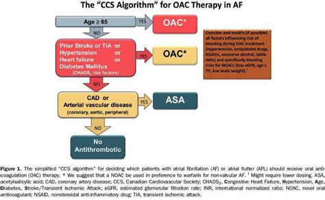 2014 Canadian Guidelines For Af Management Part 1 Introduction And