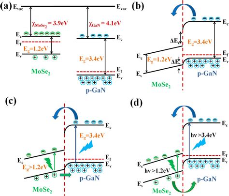 Energy Band Alignment Of Mose2p Gan Heterojunction A Before Contact