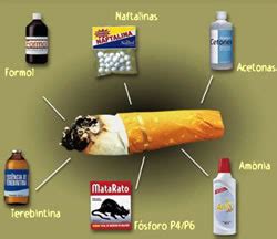 Vivir O Morir Componentes De Un Cigarro