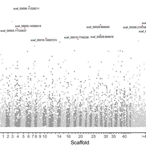 manhattan plot showing distributions of ‐log10‐transformed p‐values