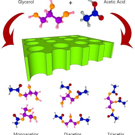 Schematic Reaction Pathways For Acetins Production Via Esterification Download Scientific