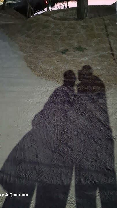 새해 일출보러 가던길 새벽 공기가 차가워~등산 전유진 Youtube