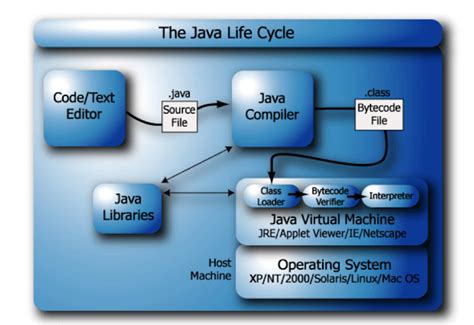 Q A Z O N E Java Lifecycle