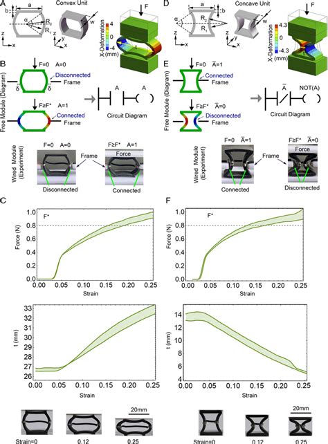 Geometries And Mechanical Properties Of The Convex And Concave Modules Download Scientific