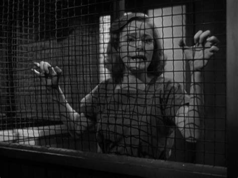 Caged Where To Watch And Stream Tv Guide