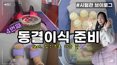 시험관 브이로그 4번째 동결이식 Feat임신으로 가는 길 Youtube