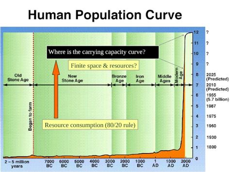 Ppt Where Is The Carrying Capacity Curve Finite Space And Resources