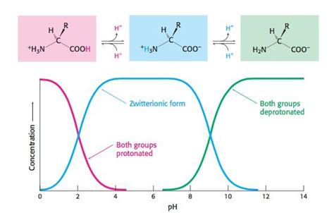Michael Green On Linkedin Logp Logd Pka And Logs A Physicists Guide To Basic Chemical Properties