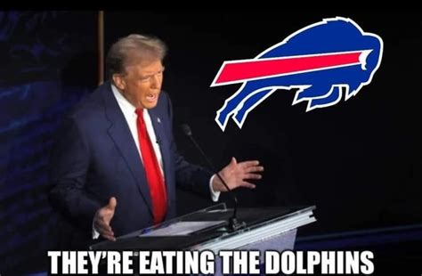 The Best Dolphins Memes Memedroid