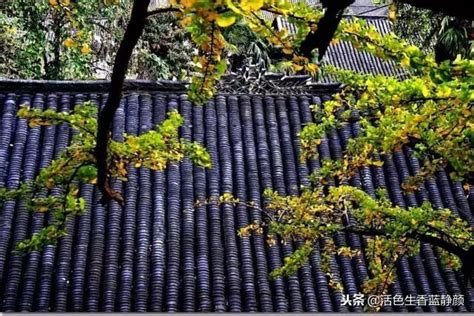 理智地抉擇，人生的每一步都暗中標好了價簽 每日頭條