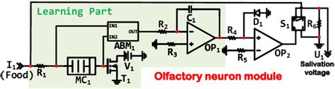 Figure 3 From A Full Functional Pavlov Associative Memory Biomimetic