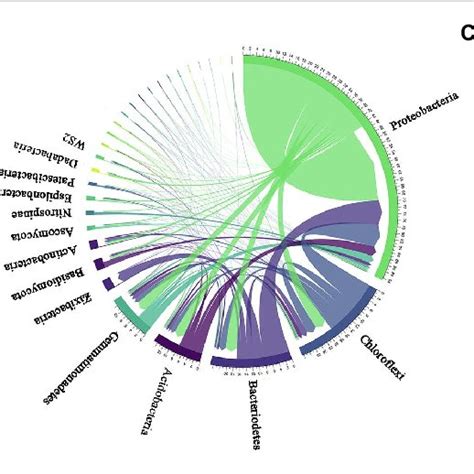 Predicted Function Of Microbial Community Discrepancy A And Download Scientific Diagram