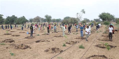 Tree Plantation Ishu Bhaghel Medium