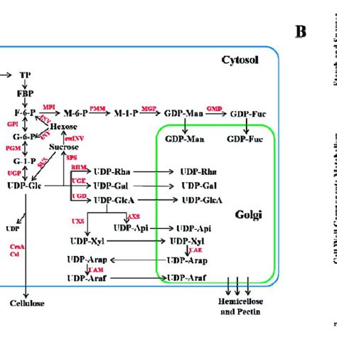 Summary Of Sequencing Data Quality Control Download Scientific Diagram