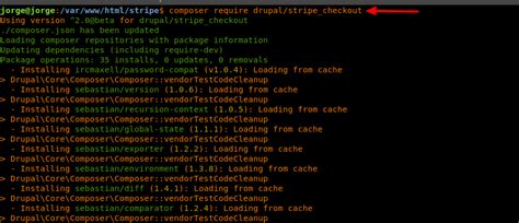 How To Embed Buy Now Stripe Buttons In Drupal OSTraining