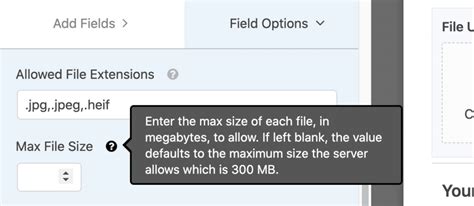 How To Fix Sorry This File Type Is Not Permitted For Security Reasons