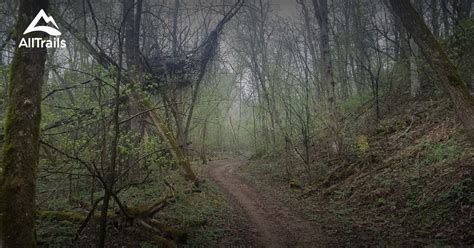 Best Wheelchair Friendly Trails In Richard J Dorer Memorial Hardwood