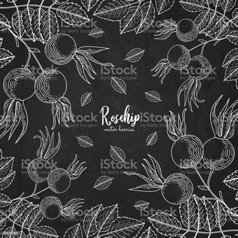 딸기와 건강 식품 디자인 서식 파일입니다 로즈 엉덩이와 손으로 그린된 프레임입니다 여름 또는을 템플릿 칠판에 그레이트 레이블 메뉴 조리법 포스터 포장지 디자인 포장 디자인