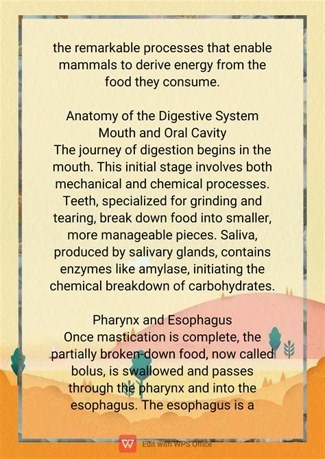 Solution Digestive System In Mammal Studypool