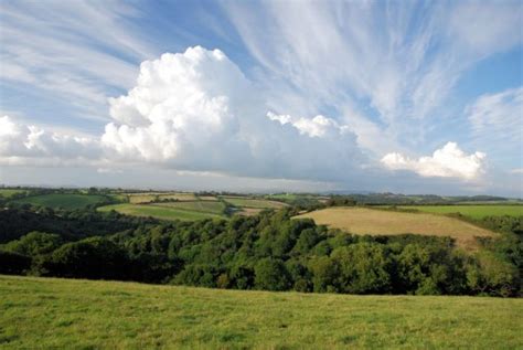 Free Images Tree Nature Forest Grass Horizon Wilderness