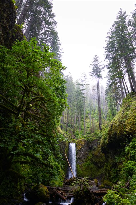 숲 한가운데에 있는 작은 폭포 사진 Unsplash의 무료 자연 이미지 숲 한가운데에 있는 작은 폭포 사진 Unsplash의 무료 자연 이미지