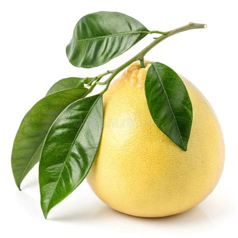 Fresh Pummelo With Leaves Isolated On White Background Stock