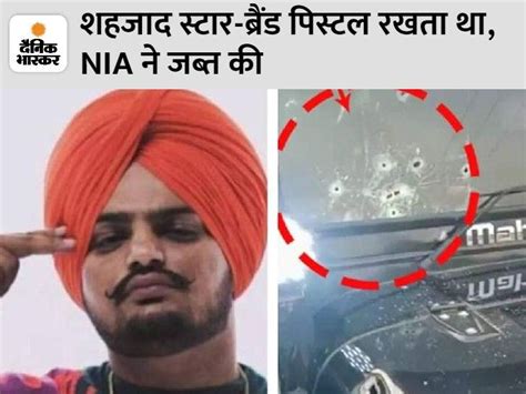 Father Uncle Were Caught 6 Years Ago With Pakistani Pistols Raised Property Worth Crores