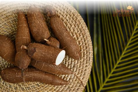 The Impact Of Cassava In Uganda The African Dreams