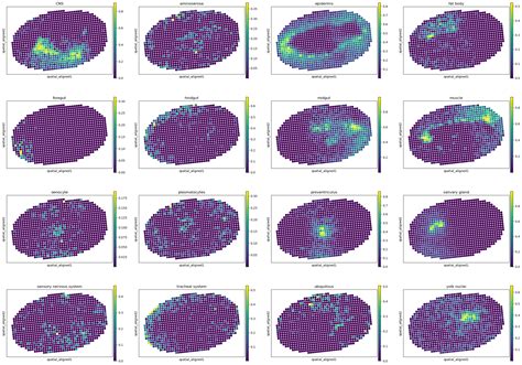 Reconstrction Of 3d Drosophila Embryo Model Using Stitch3d — Mcube 01