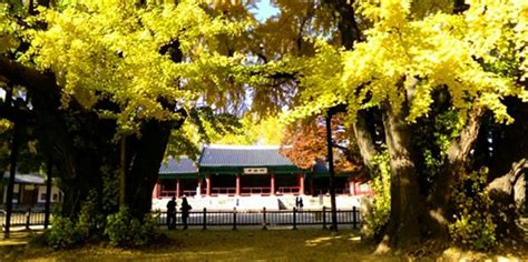 공부차 청담 Teahouse 4월 1일 토 저녁 7시반부터 9시반 그 옛날 차는 여유가 있고 지식이 있는 사람들만 접하고 즐길 수 있는 고급음료에 속했습니다 이런 공부차 청담 Teahouse 4월 1일 토 저녁 7시반부터 9시반 그 옛날 차는 여유가 있고 지식이 있는 사람들만 접하고 즐길 수 있는 고급음료에 속했습니다 이런