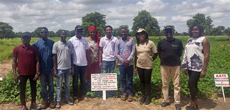 Ghanas First Gmo Food Crop Nba Officially Hands Over Deregulation Permit To Csir Daily Agric
