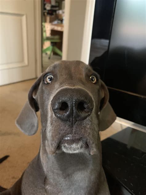 Handsome Guy With A Sly Wink R Eyebleach