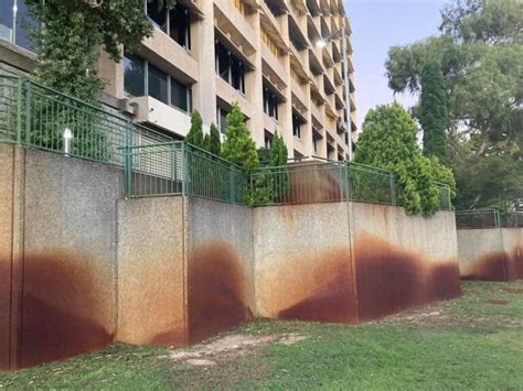 WA Science Done Different Particle