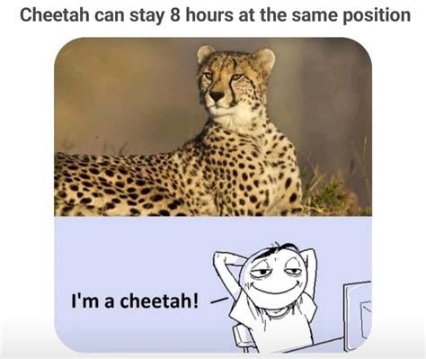 Sanchit Jaiswal Posted On Linkedin