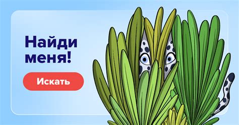 Найдите снежного барса!