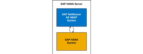 Sap Hana As Primary Persistence For Sap Netweaver Based Applications