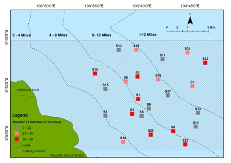 Spatial Distribution Of Mantis Shrimp Based On Distance Stratification