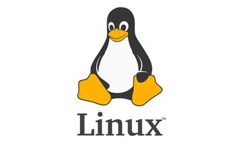 top 10 linux firewall commands to increase your security