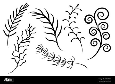 Vector Set Of Isolated Elements Of Twigs With Leaves And Berries Drawn By Hand In The Style Of