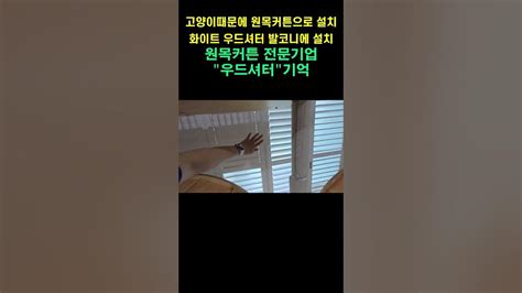 고양이 때문에 원목커튼으로 설치화이트 우드셔터 발코니에 설치 블라인드추천 커튼추천 이쁜커튼 전원주택인테리어실내인테리어고급주택인테리어 루버 Youtube