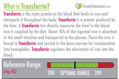 What Is Transferrin High And Low Values Lab Results Explained