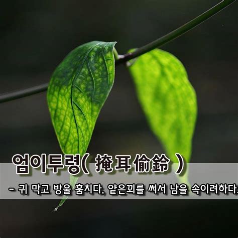 오늘의 고사성어 엄이투령掩耳偸鈴 귀 막고 방울 훔치다 얕은꾀를 써서 남을 속이려하다 가릴 엄扌8 귀 이耳0 훔칠 투亻9 방울 령金5