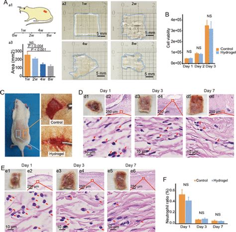 《acs Nano》双曲面形载药生物粘附水凝胶用于胃穿孔修复 知乎
