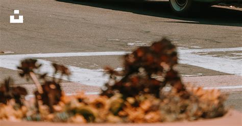 길가에 주차된 차 사진 Unsplash의 무료 미국 이미지