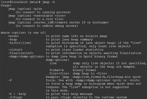 利用jmap和mat等工具查看jvm运行时堆内存 废物大师兄 博客园