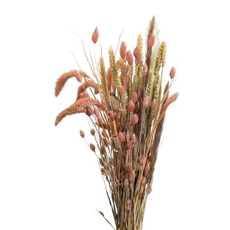 Droogbloemen Boeket Mix Roze Groot Leen Bakker