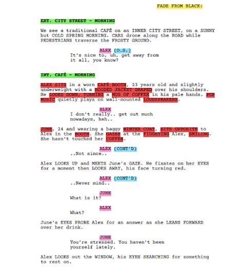 Dan Kerrys Media Blog M1 Script Conventions