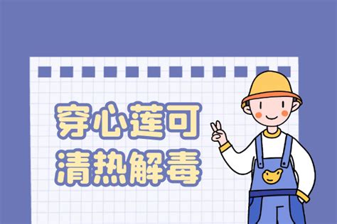 穿心莲的功效与作用及禁忌有哪些 食材知识 轻壹