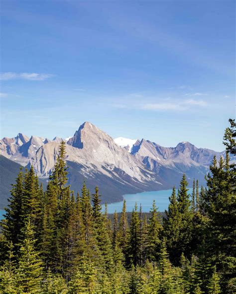 Bald Hills Trail One Of The Best Hikes At Maligne Lake Jasper — Walk